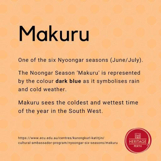 earthmotherwithin: Makuru: Winter in South West (Australia)