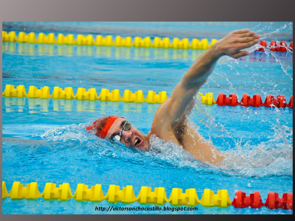 NATACIÓN STADIUM VENECIA: febrero 2011