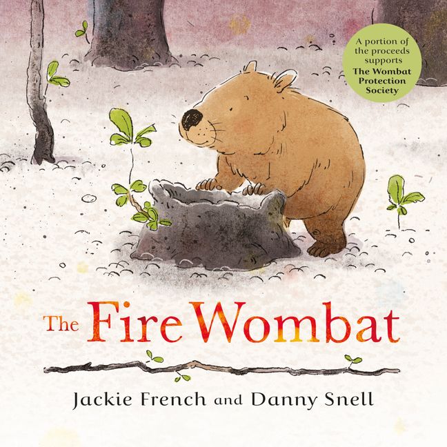 Kids' Book Review: Review: The Fire Wombat