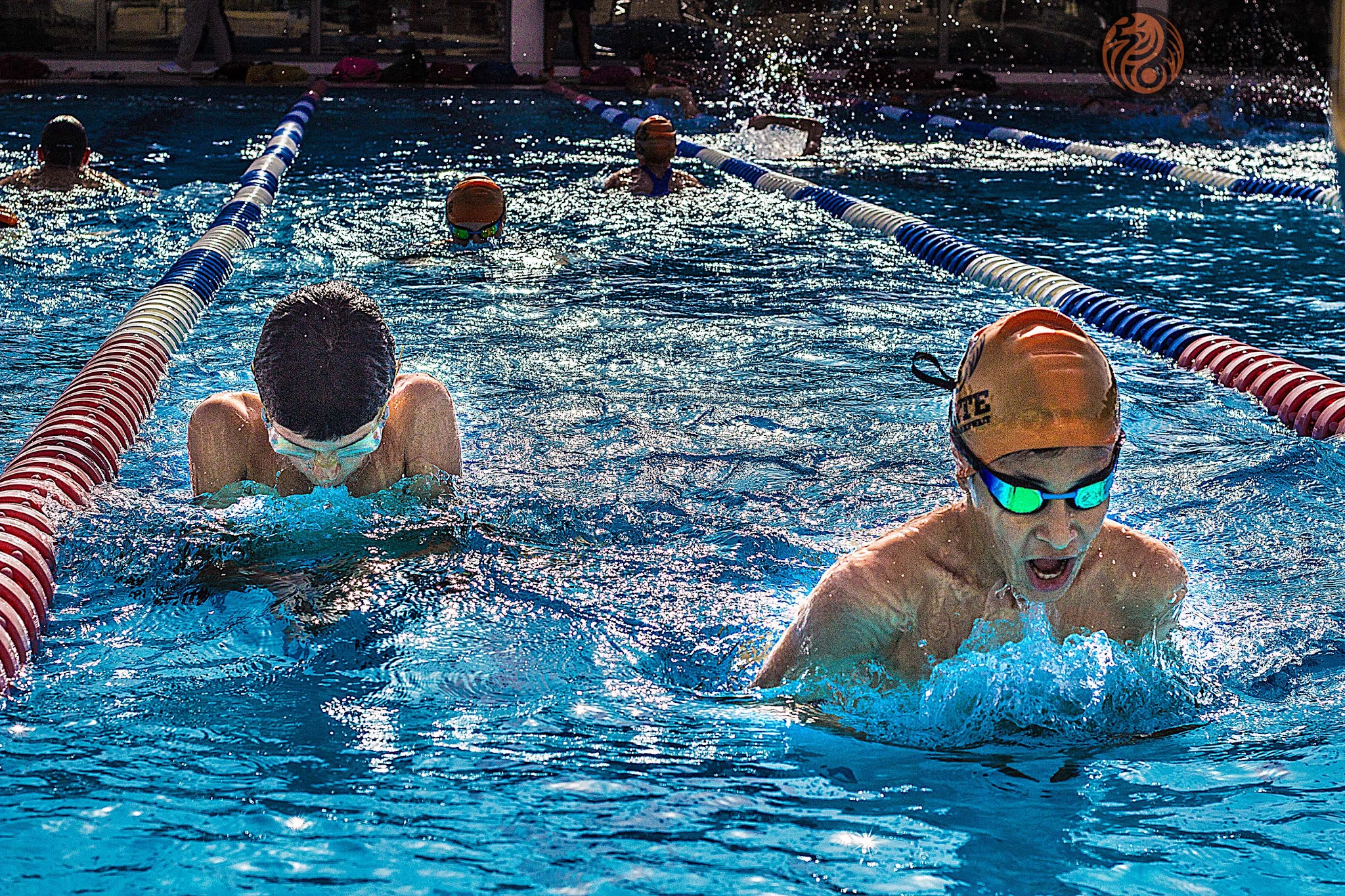 RAISING A SUCCESSFUL KID IN SWIMMING - Science Of Swimming