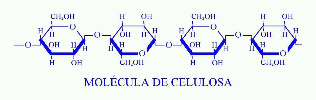 Celofán : CELOFÁN/CONCEPTO/OBTENCIÓN/USOS/HISTORIA
