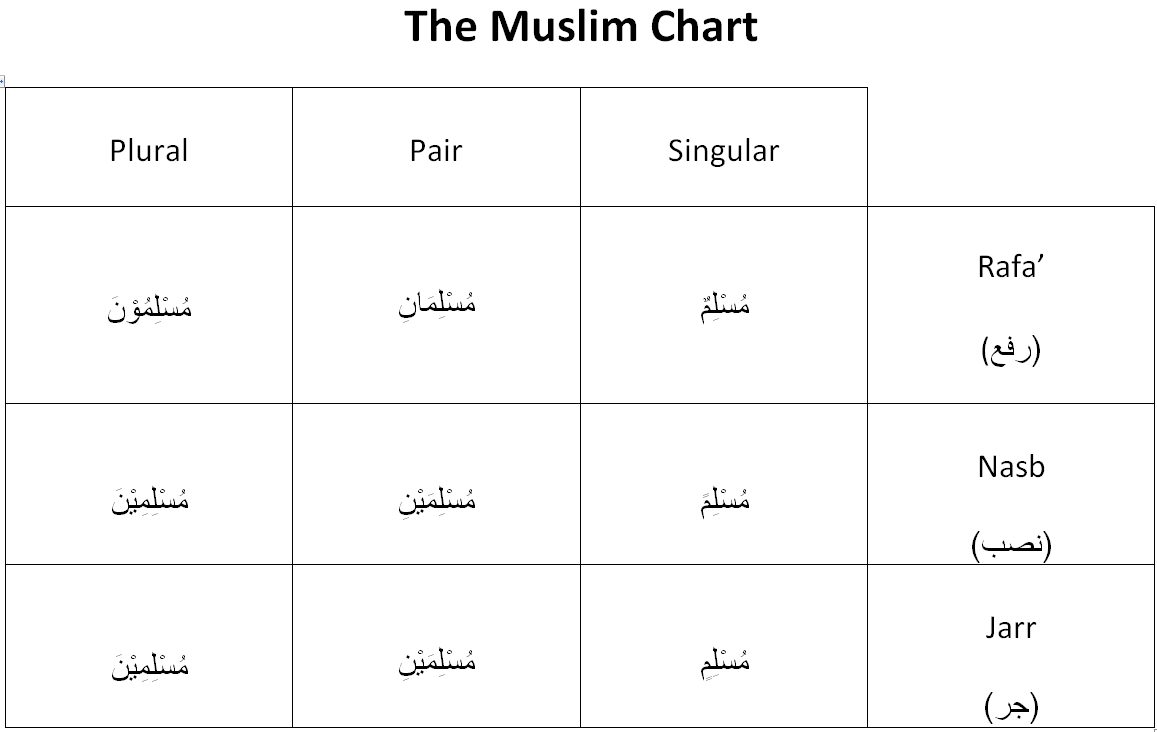 Isms: Lesson 2 (Number)