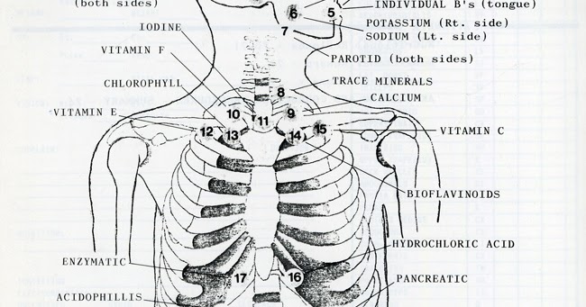 Kinesiology 4U: Note to Self: Riddler reflex points - allergie reflexpunt