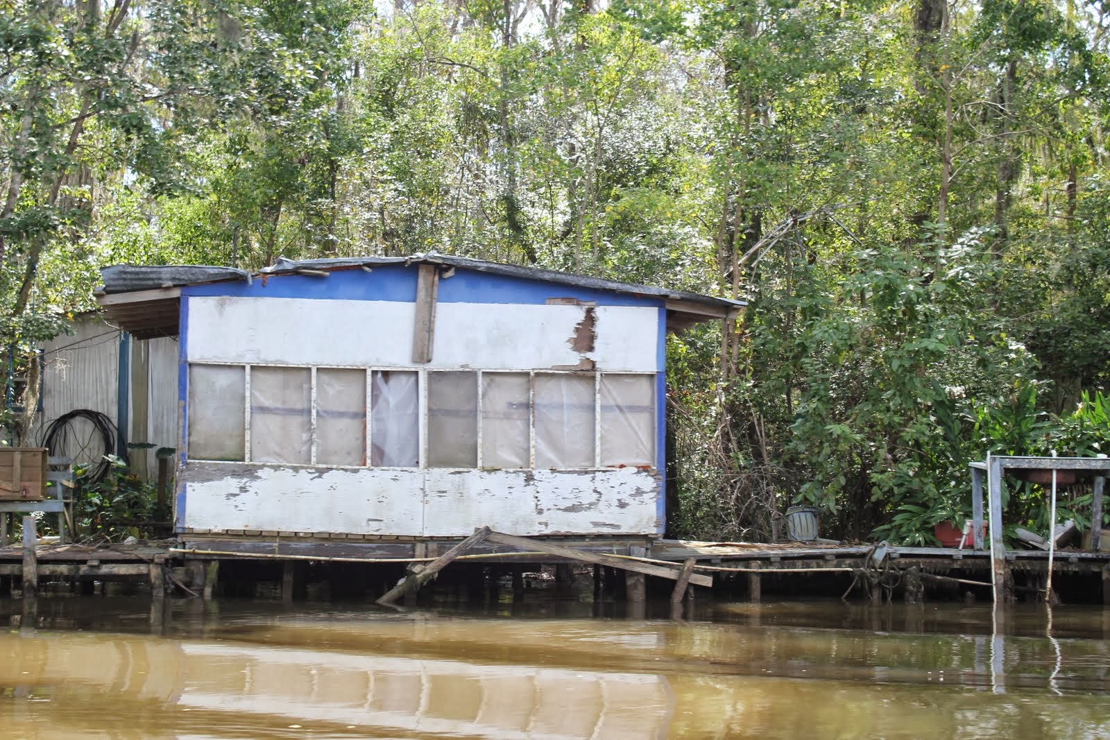 Here and There: LIFE ON THE BAYOU