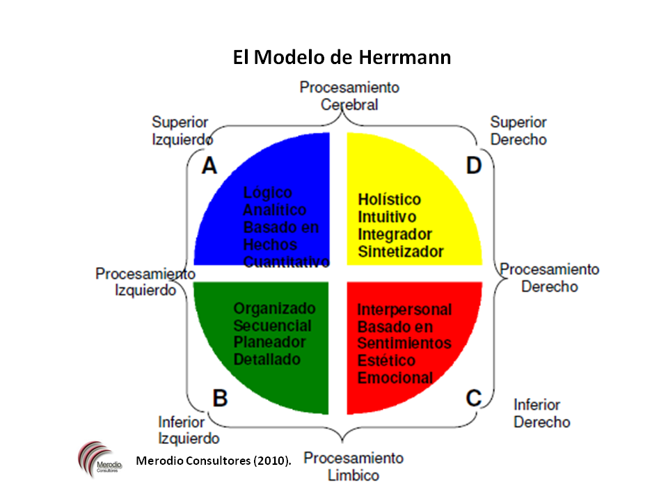 Coeduweg: Modelo cuadrante cerebral de Hermann su relación y aplicación ...