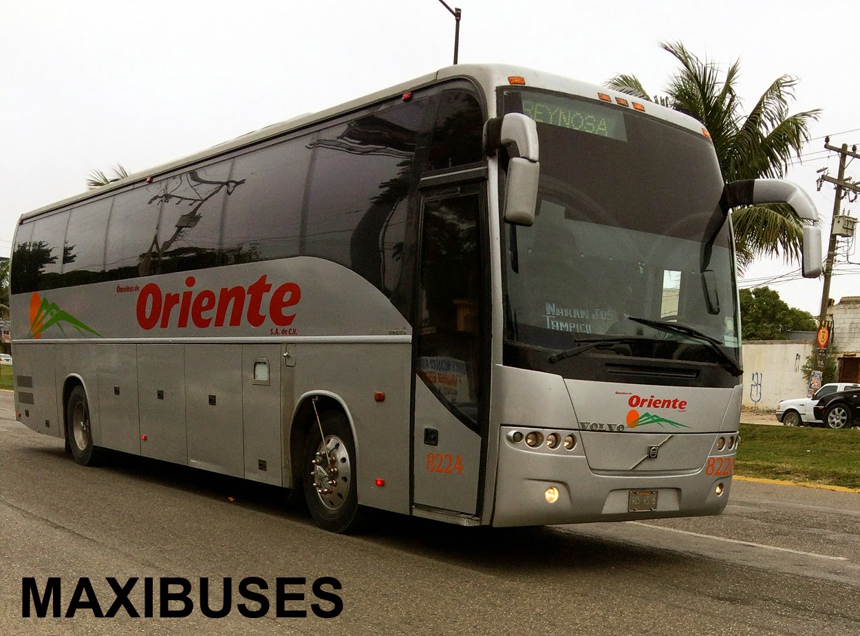 MAXIBUSES: OMNIBUS DE ORIENTE