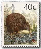 How the Kiwi Lost his Wings.