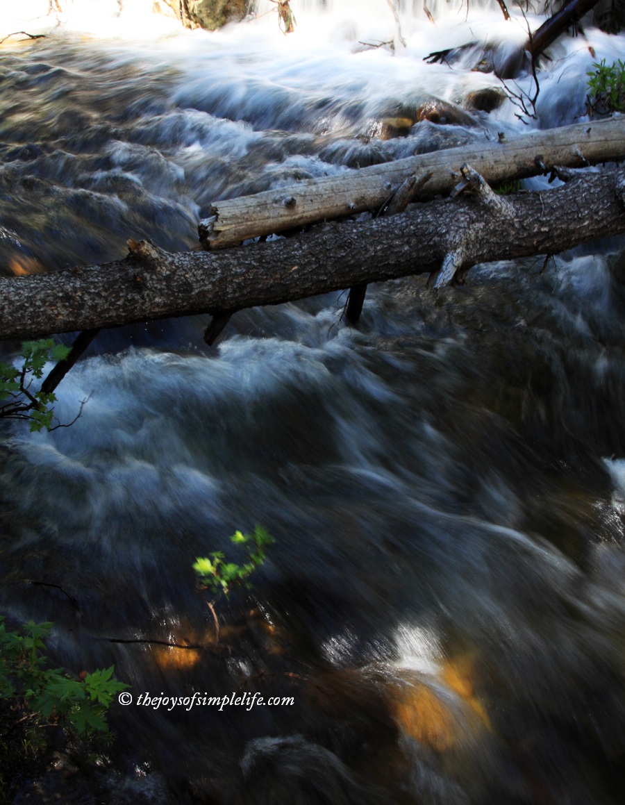 The Joys of Simple Life: String Lake Trailhead to Hidden Falls and ...