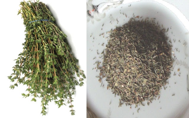 Bunatatile casei: Cimbrul de cultura