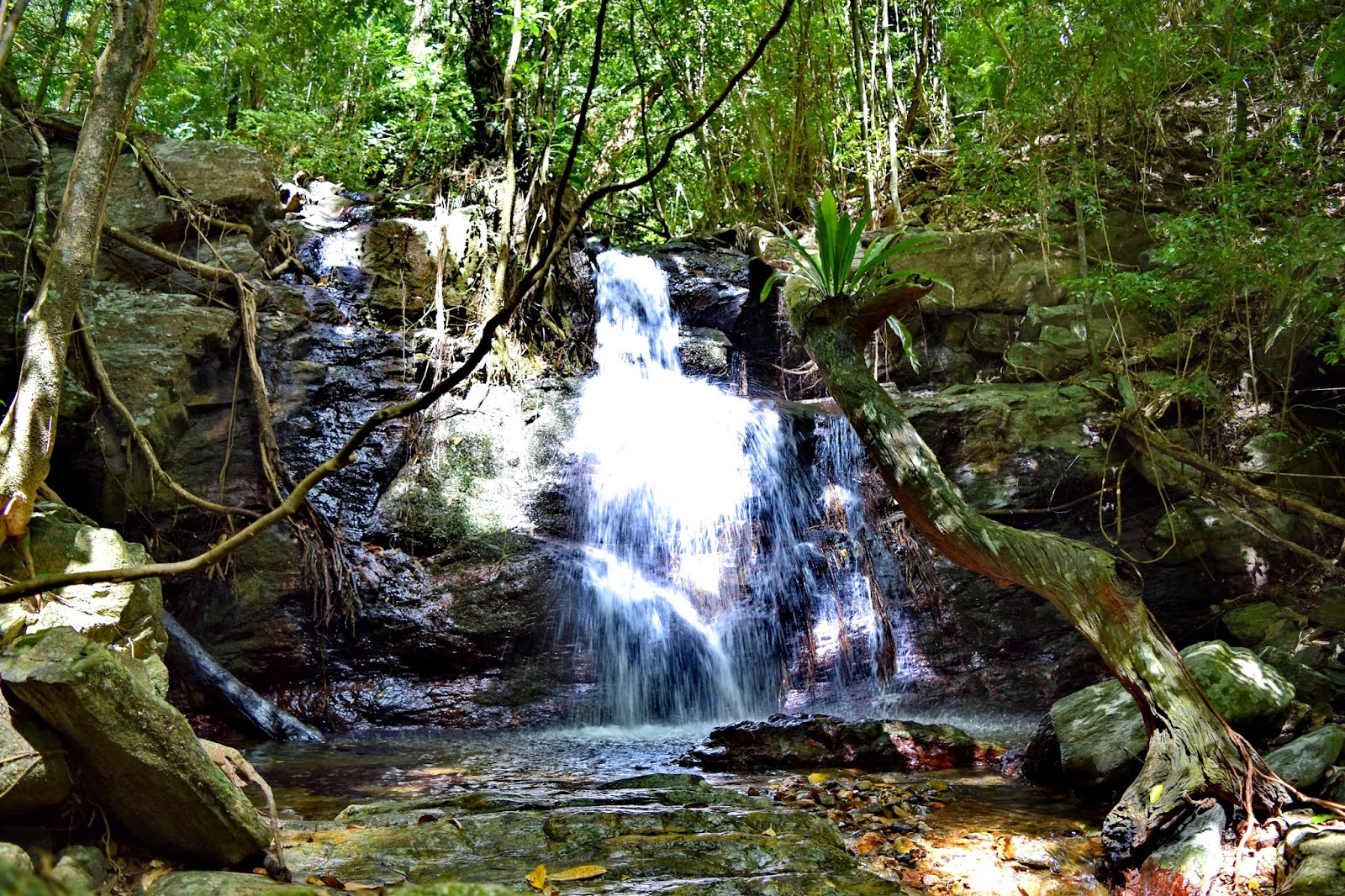 To Catch Sight Of.: Isabella Falls