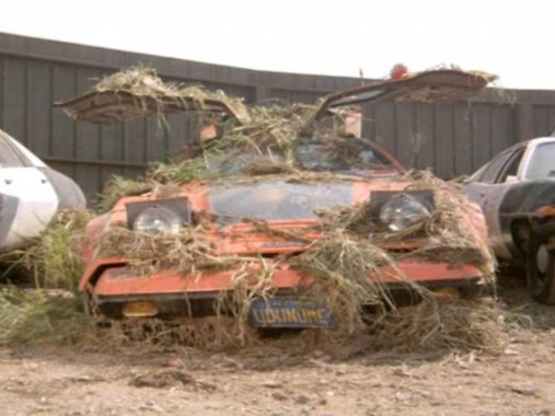 CANON MOVIES: H.B. HALICKI: TOP FILMS