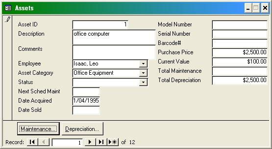 Asset Management Access Database - Collage Template