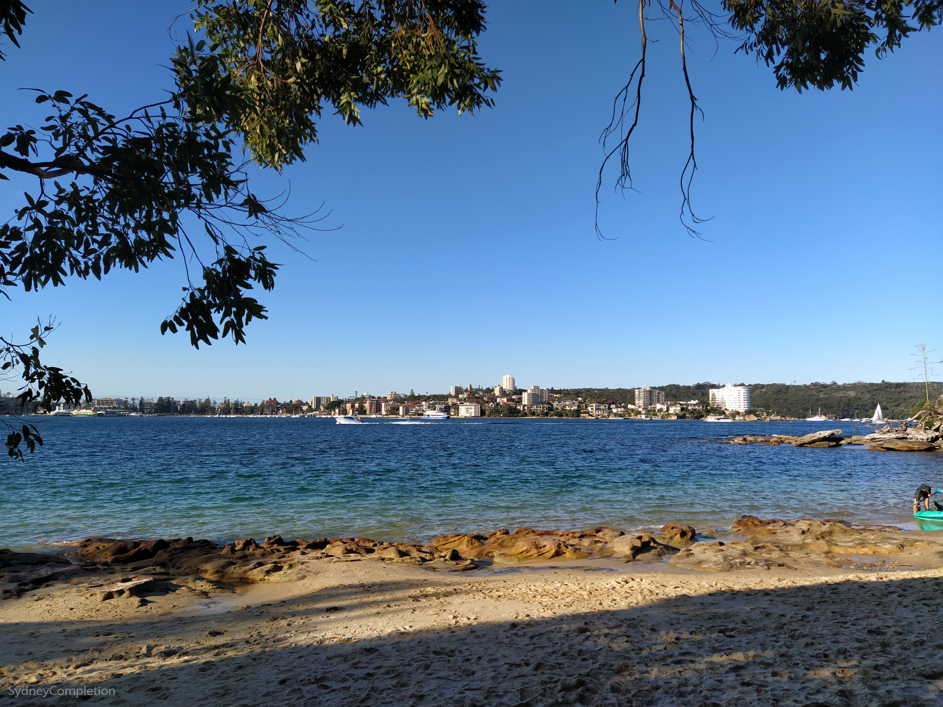 Highs and Lows: Balgowlah Heights and Balgowlah - Completing Sydney