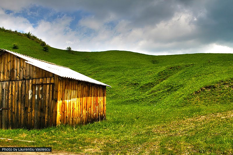 Calator in Paradis - Bisoca, Buzau