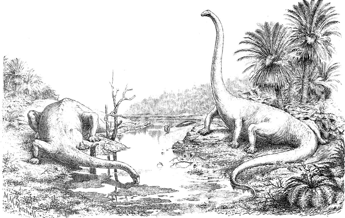 Manospondylus: The Ridoculus History of Sprawl-legged Diplodocus