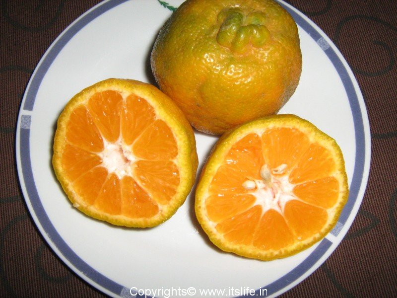 Get Much Information: Fruits - 1