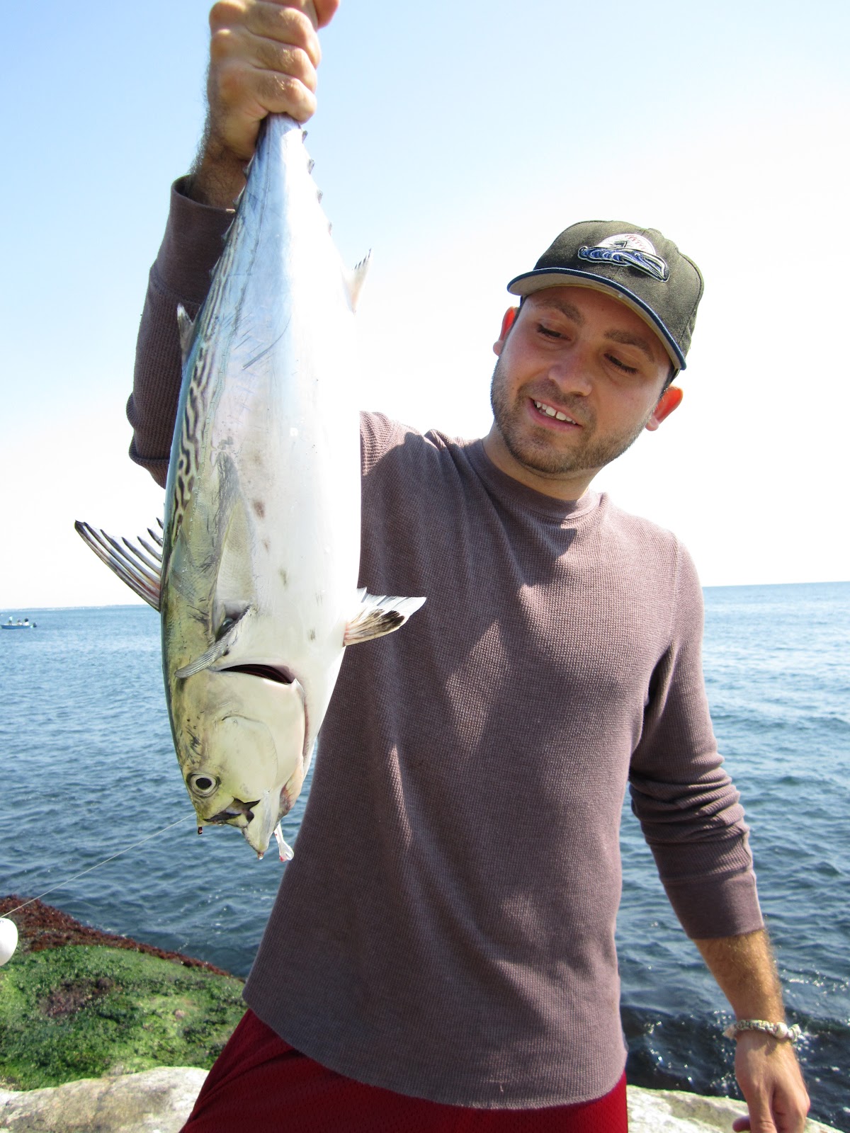 Rhode Island Striped Bass: Albie Insanity as All Day Blitz Hits Shore