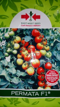 Toko Pertanian Terdekat | Lmga Agro: Tomat Permata F1, Tomat Dataran ...