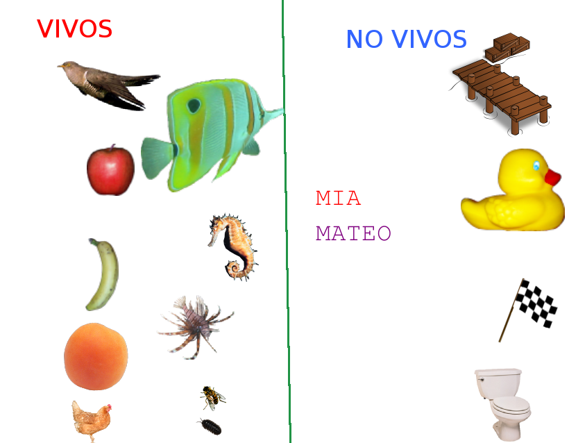 Salas informatizadas: SERES VIVOS y NO VIVOS - sala 5