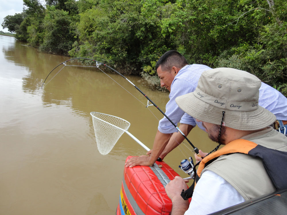 La Pesca Deportiva en Colombia Recreational Fishing: Bagre Azul, Raya ...