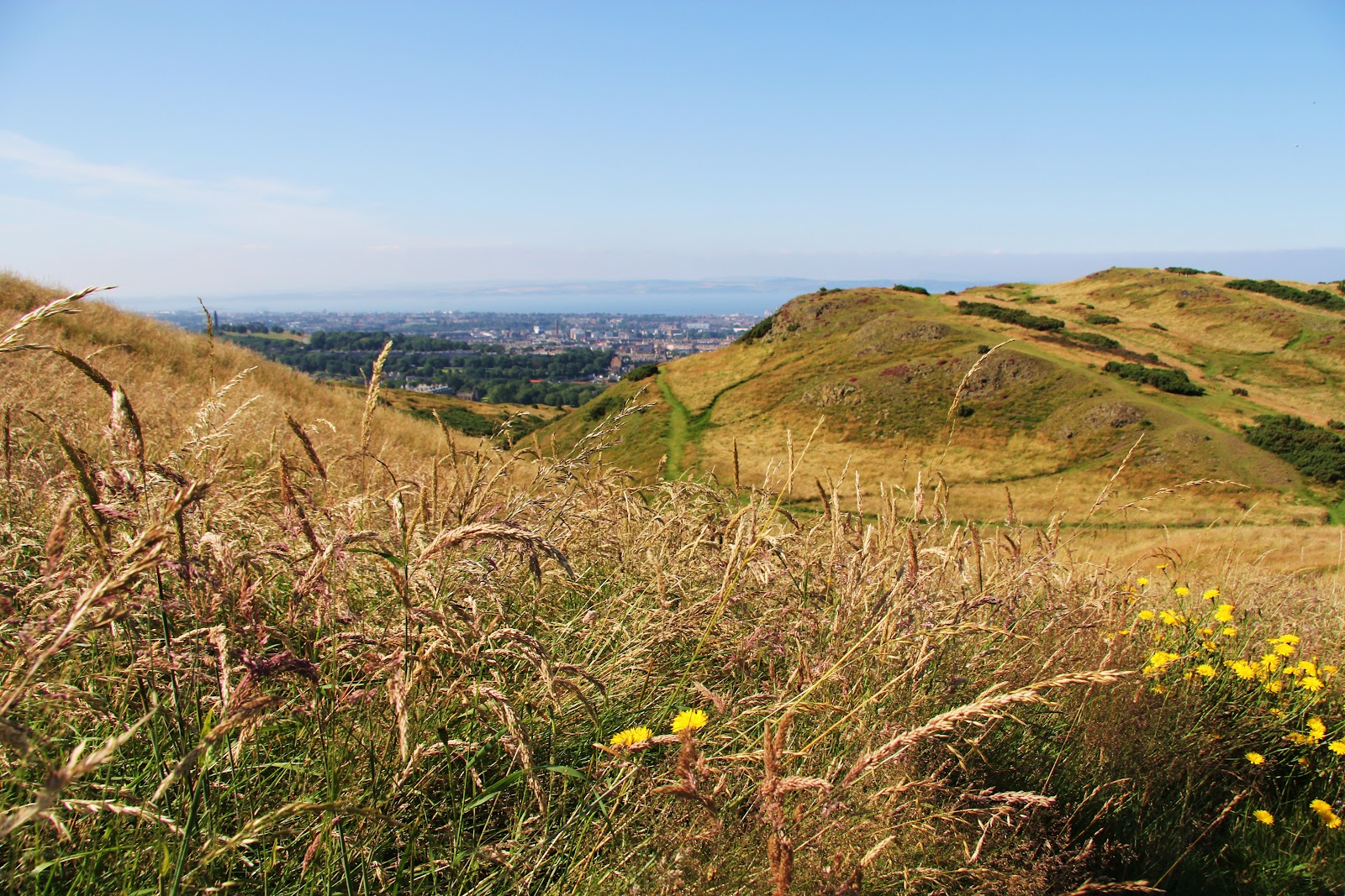 Where in the World is Chelsea Gibbs?