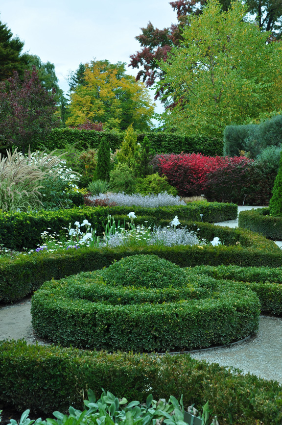 Three Dogs in a Garden: A Thanksgiving Feast for the Eyes at Edwards ...