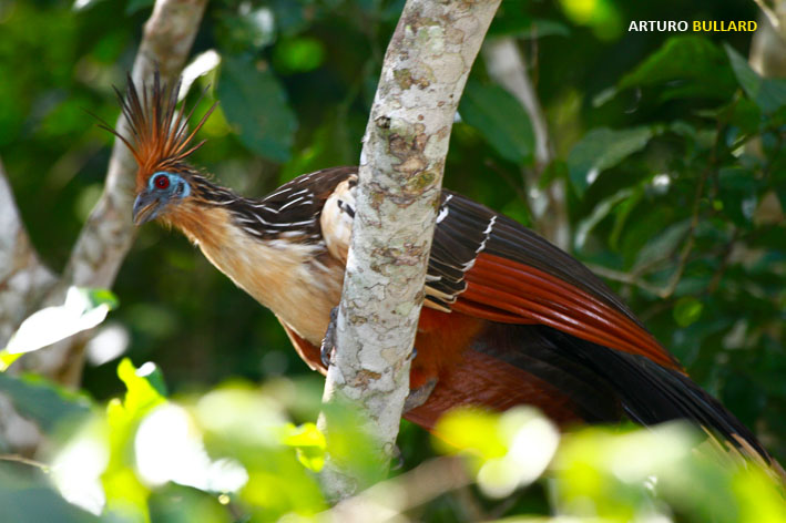 Viajes, Fotografía y Más: agosto 2012