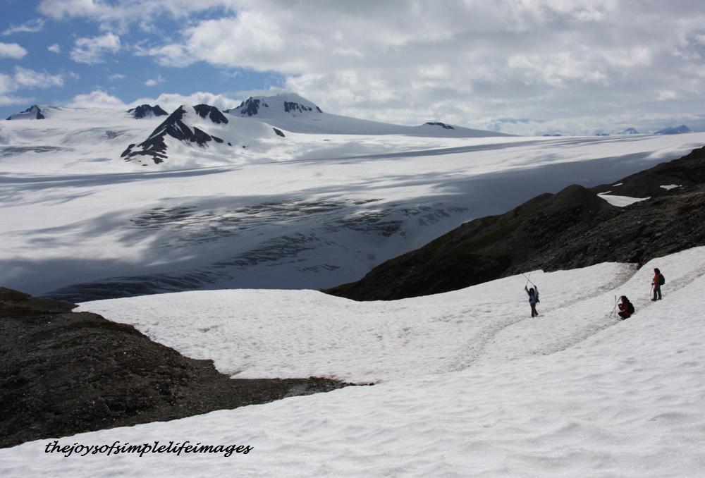 The Joys of Simple Life: Hiking Harding Icefield