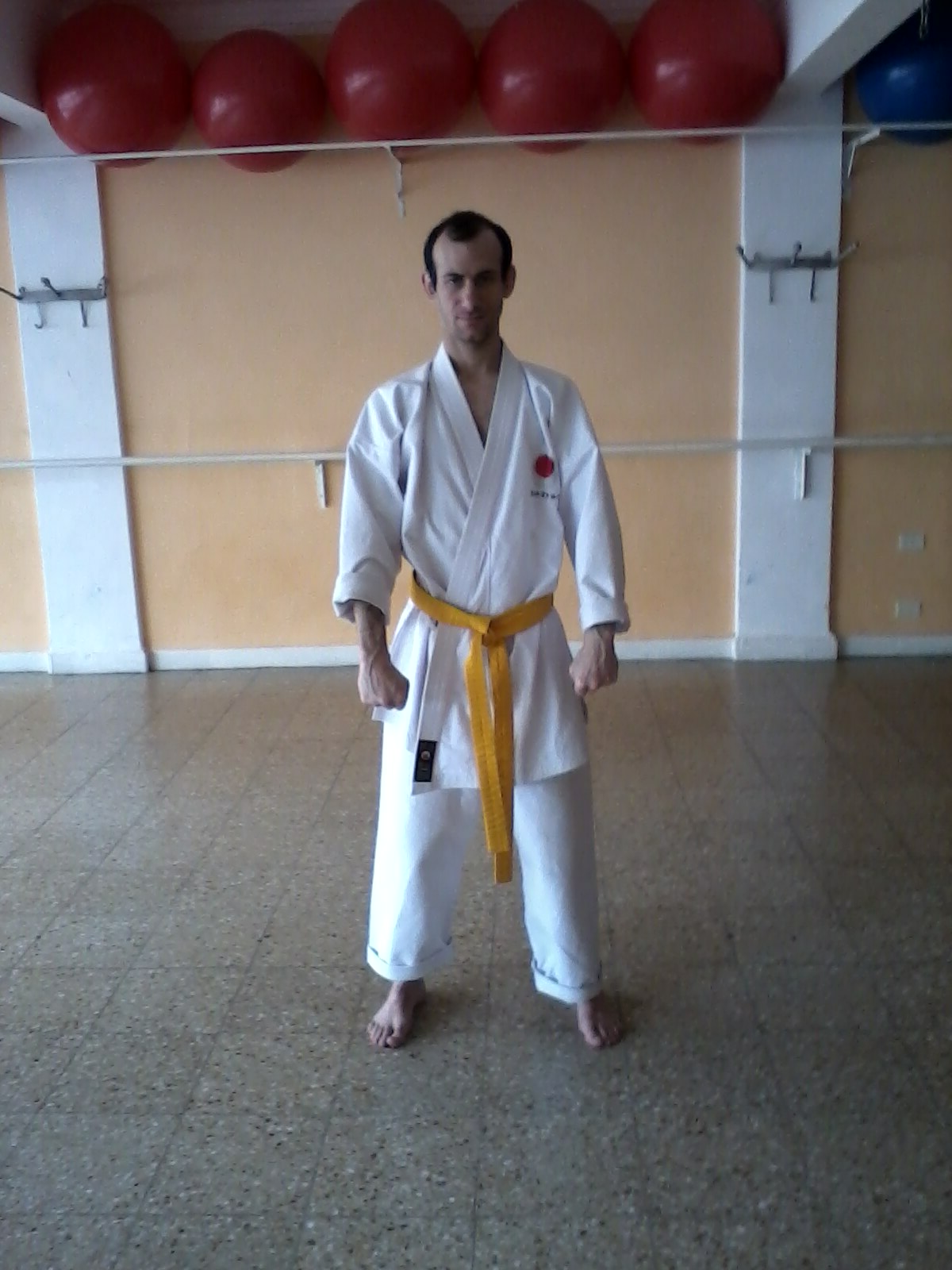 BLITZ ACE 3.0: Blitz Ace Karate Do!!!!