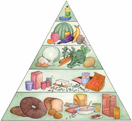 NOVIISISTA TUKKA TUNTIJAKSI: Hiuksen, ihon ja kehon ravinto