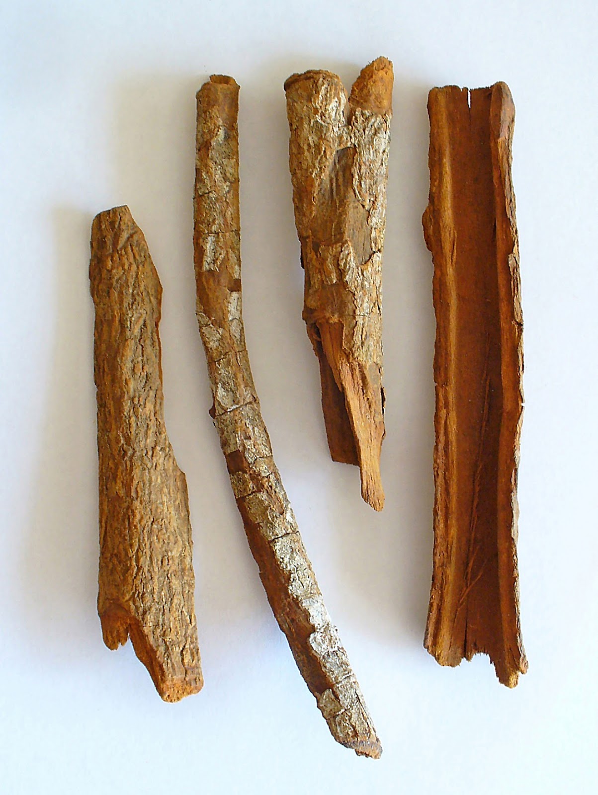 Healing Homeopathy: China Officinalis