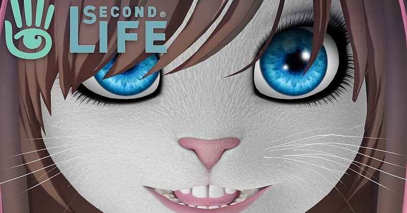 Echt Virtuell: [Video] - "Second Life, Living The Virtual World Dream ...
