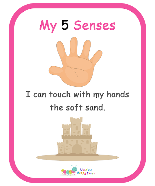 My Body For kids - My Five Senses