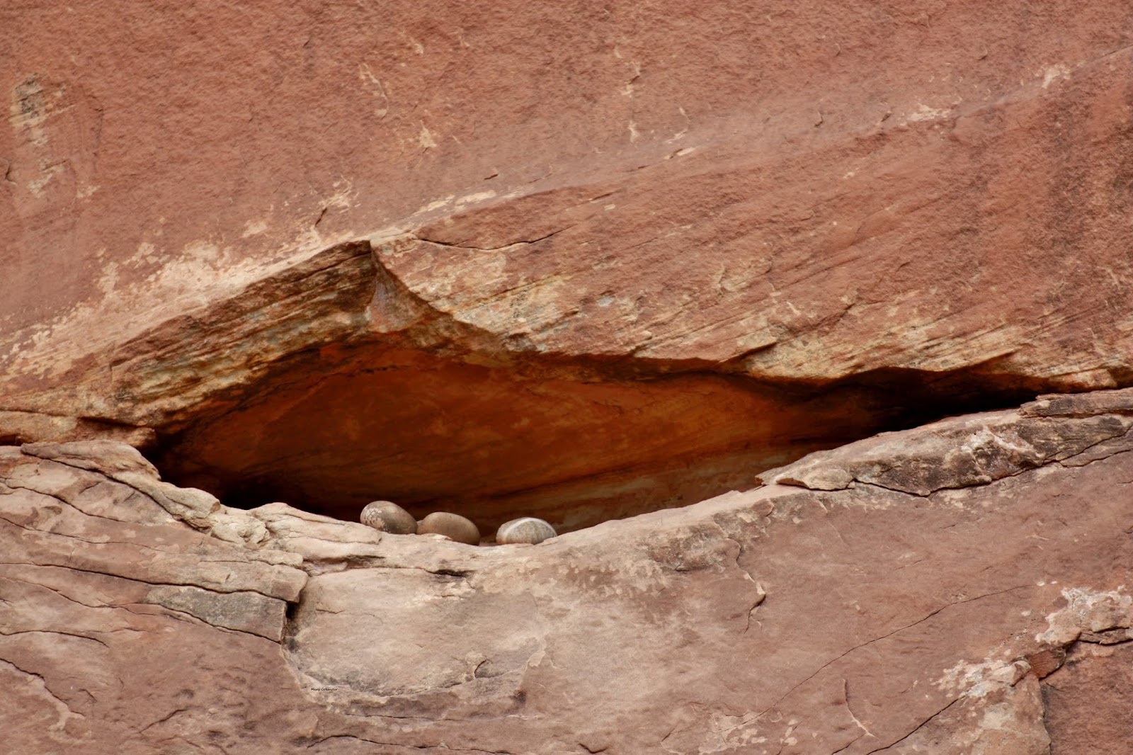 The Southwest Through Wide Brown Eyes: In Search of Sand Island's ...