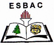 MTRO. MIGUEL ÁNGEL GARCÍA PÉREZ: EJEMPLO DE PROGRAMA CÍVICO PARA FIN DE ...