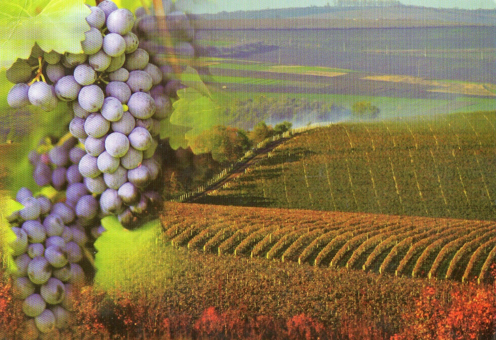 The world in my mailbox: Podgorie , Moldova