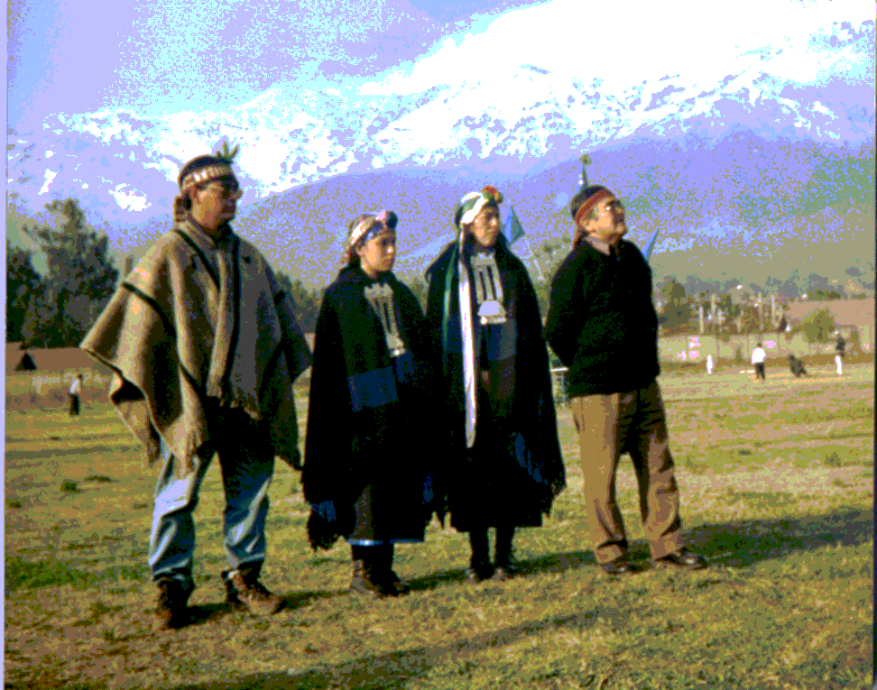 Cisnes y Rosas: Mapuches, Hombres de la Tierra