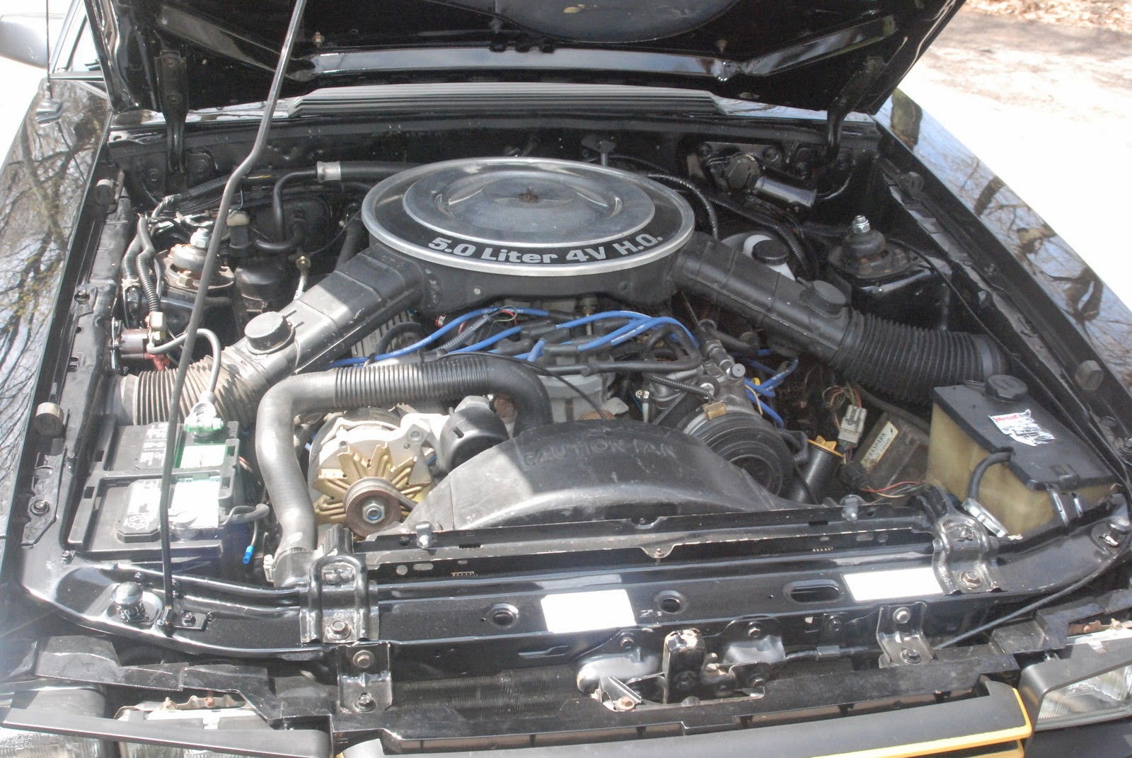 5k: Black Magic: 1982 Mercury Capri RS - DailyTurismo