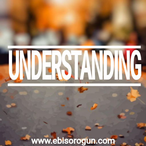 Understanding Meaning