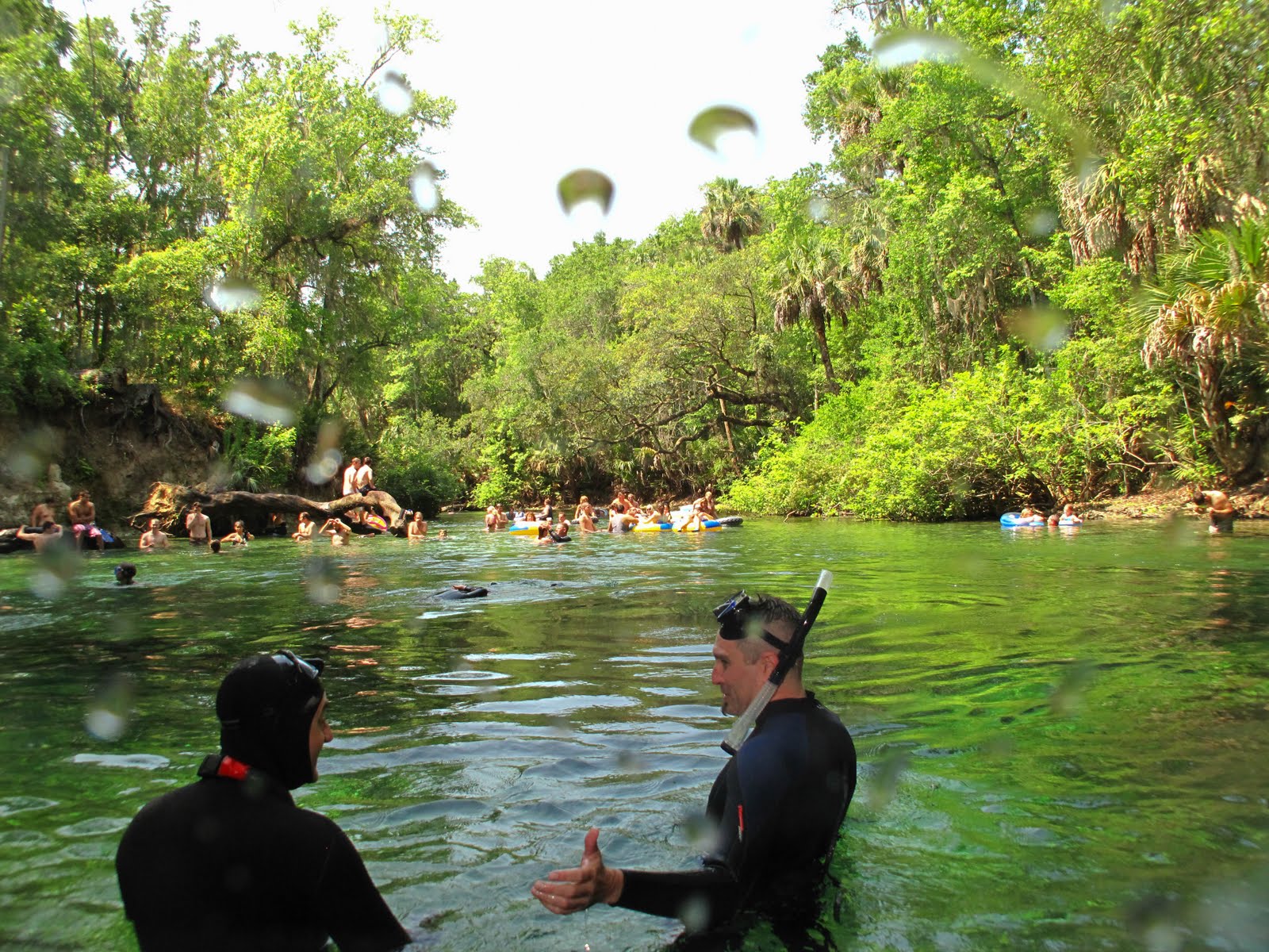 Matt Vinzant: 5-24-11 Volusia Blue Springs Dive