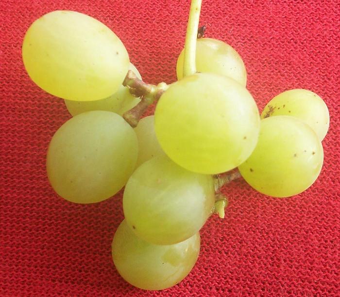 Semua Menjadi: Boleh Makan Anggur