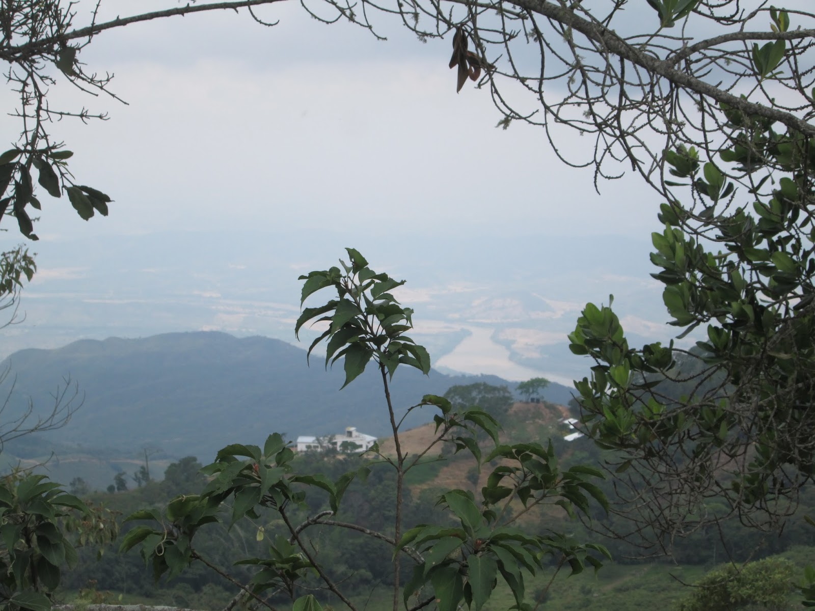 Chaguani Vive El Sentimiento: MIRADOR DEL BOQUERON