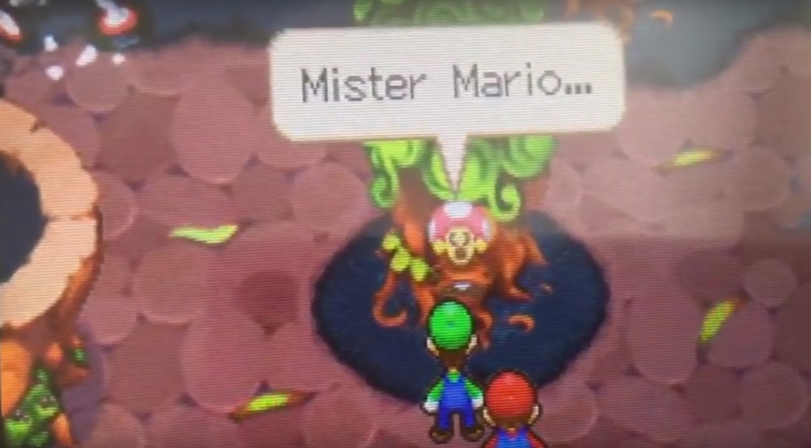 Os melhores Toads nas aventuras do Reino do Cogumelo - Nintendo Blast