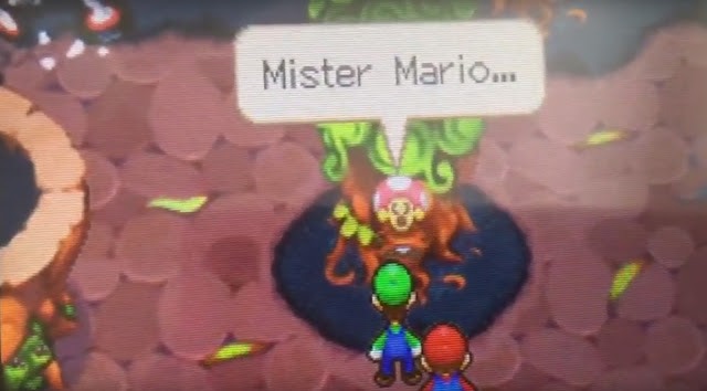 Os melhores Toads nas aventuras do Reino do Cogumelo - Nintendo Blast