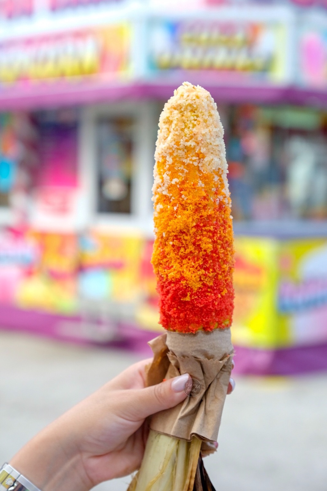 10 Must Try Fair Foods | the MIA foodie