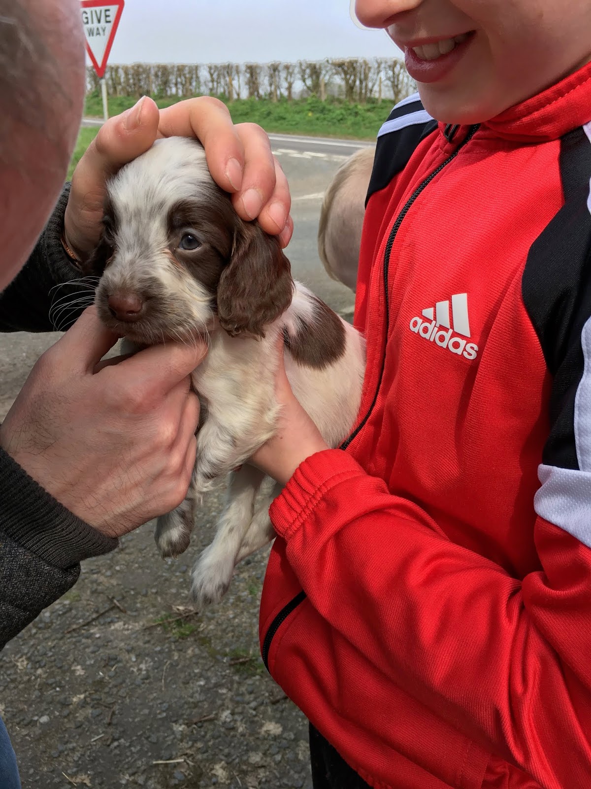 My Monkeys Don t Sit Still Kitting Out Our Puppy With Pets At Home my-monkeys-don-t-sit-still-kitting-out-our-puppy-with-pets-at-home