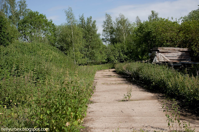 Nelly's Urbex: POW Camp 116 - Mill Lane - Hatfield Heath