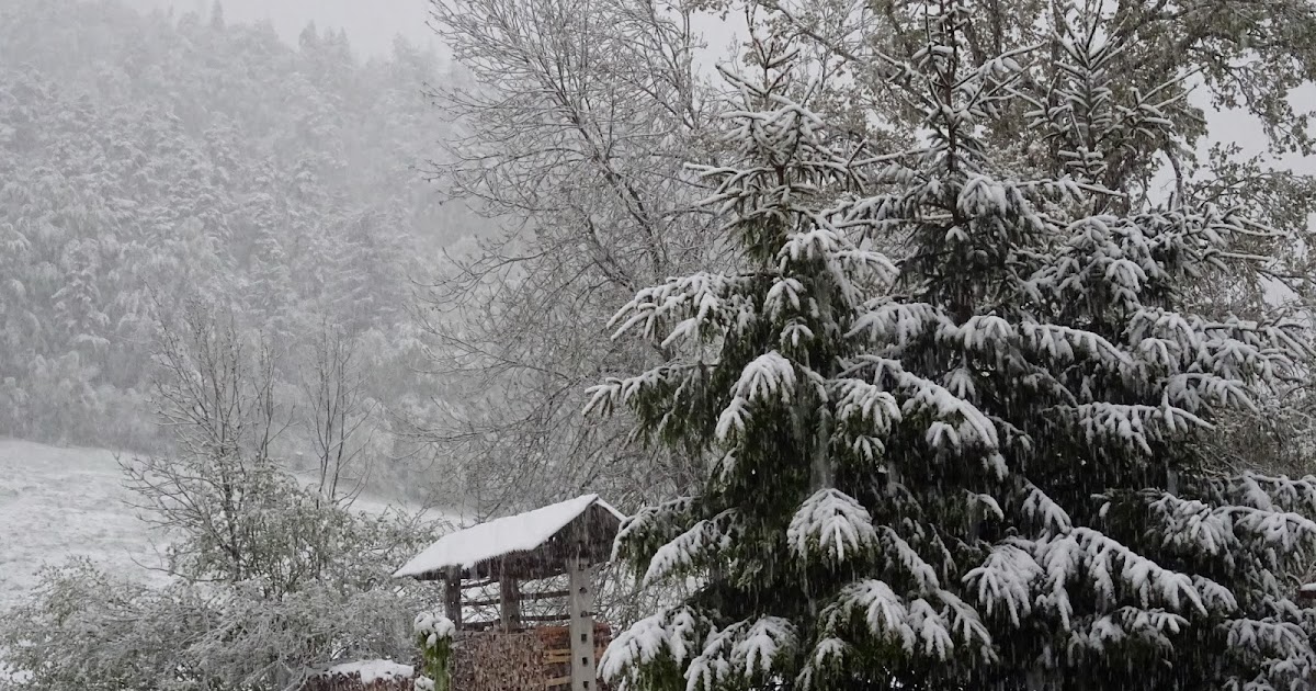 Sneg! ~ SNEG NAREDI.SI