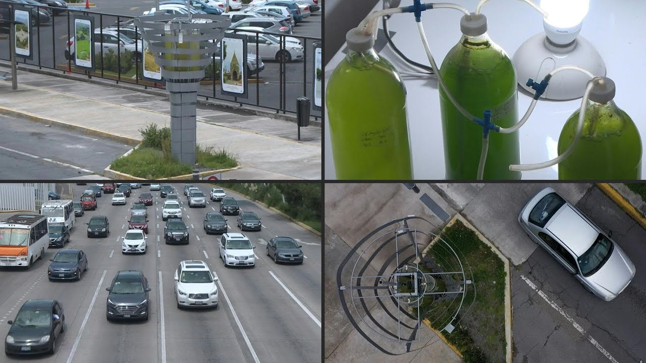 වායු දූෂණය වලකන්නට කෘතීම ගස් - Artificial trees