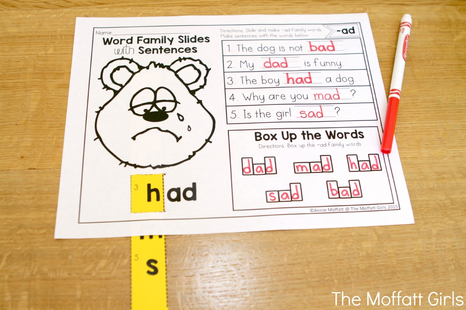 How to Effectively Teach 113 Different Word Families!
